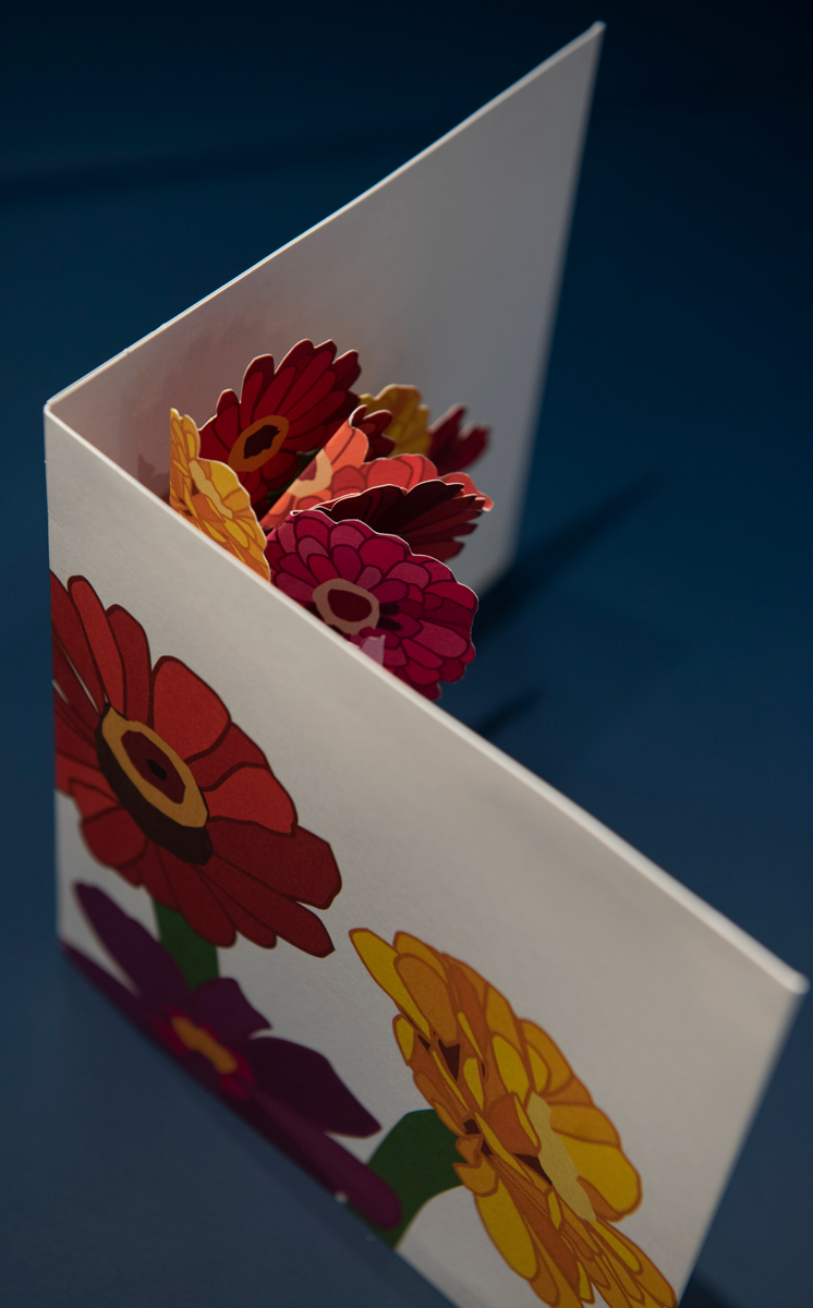 Cartes pop-up | Le carré d'encre